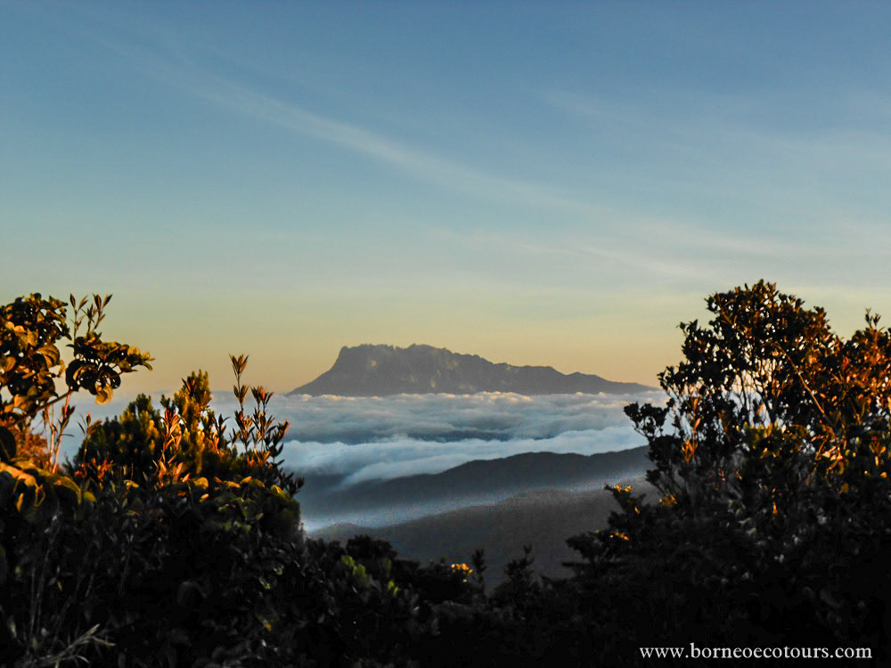 5 Reasons You Should Seriously Climb Mt. Trus Madi (Even though you ...