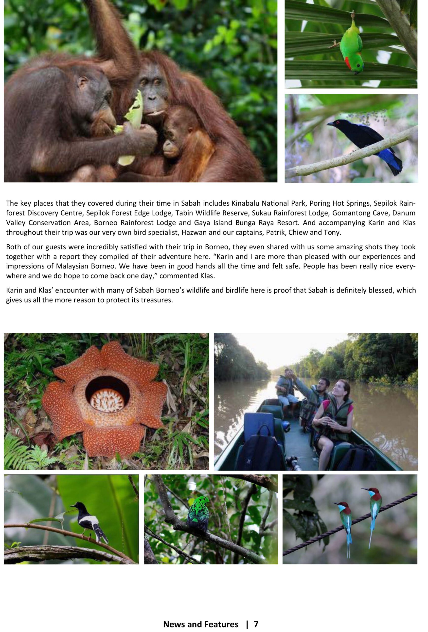 A Borneo Birding Escapade | Borneo Eco Tours