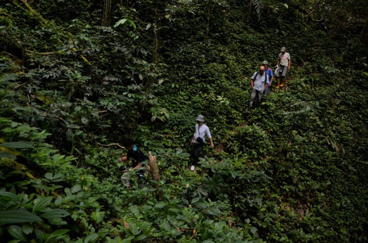 Trekking Adventure at the Foothills of Mount Kinabalu in the Jungles of ...