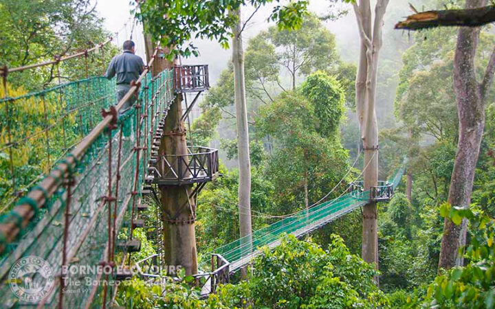 8 Forest and Nature Wonders to Explore in Sabah, Malaysian Borneo ...