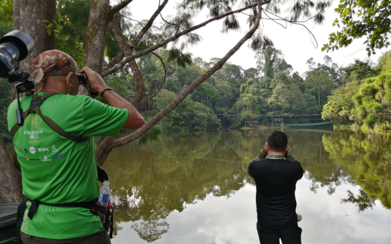 16 | Borneo Eco Tours