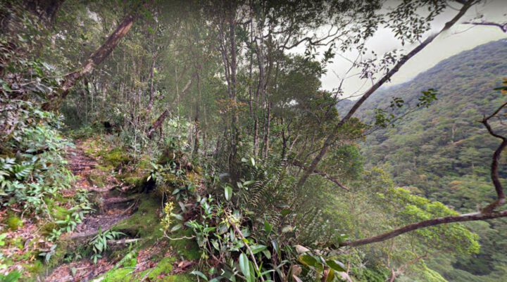 5 Trails to Explore in Kinabalu National Park | Borneo Eco Tours