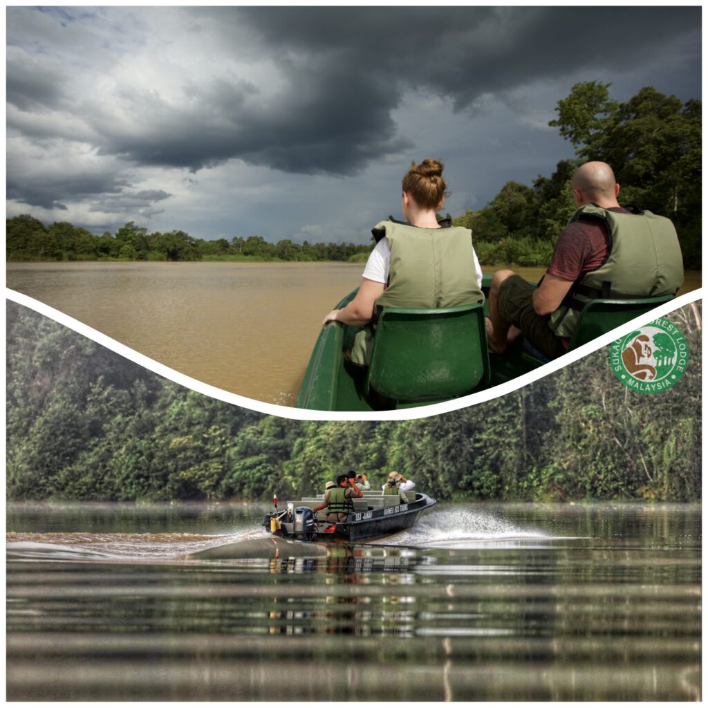 How to Find the Best Tour Package in Borneo? | Borneo Eco Tours