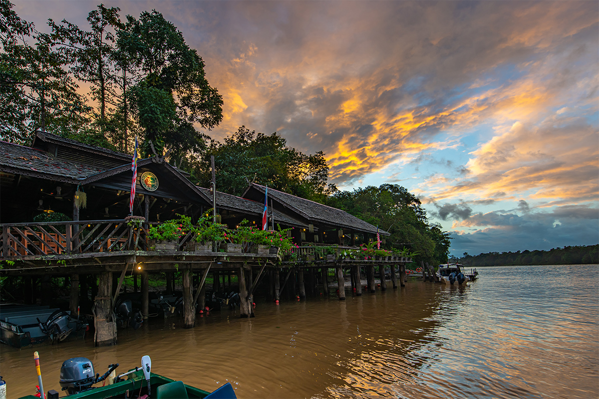 World Class Wildlife, Nature and Family Holidays | Borneo Eco Tours