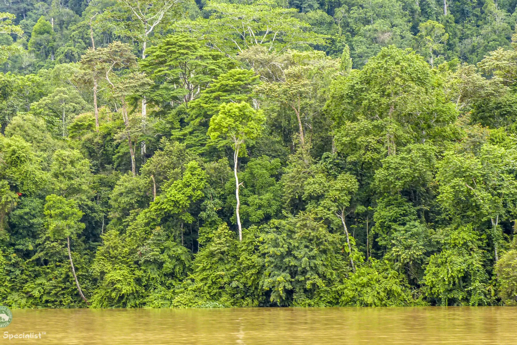 River & Rainforest | Borneo Eco Tours